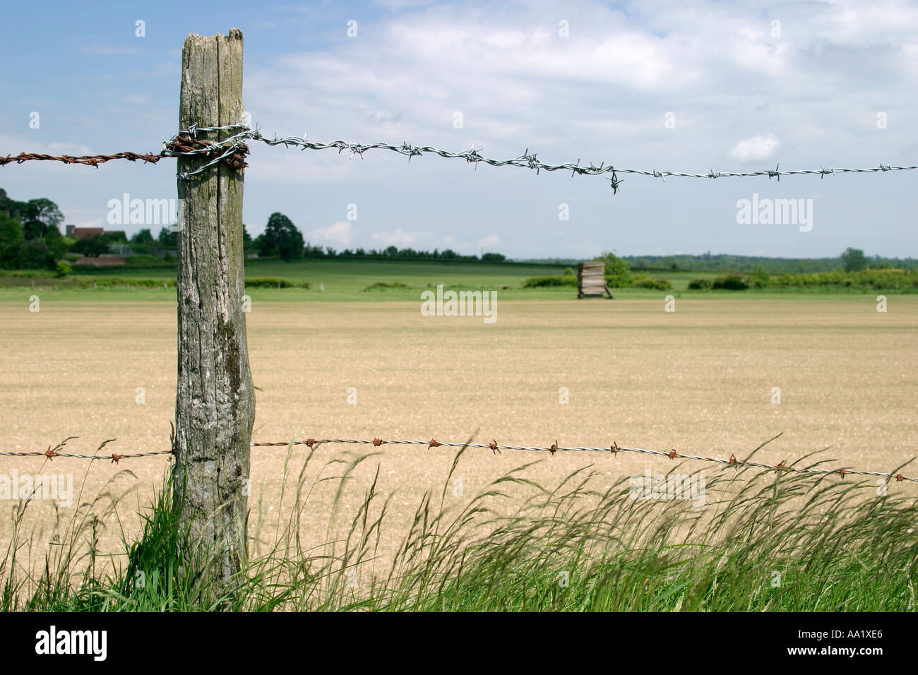 Wire fence boundary hi-res stock photography and images - Alamy