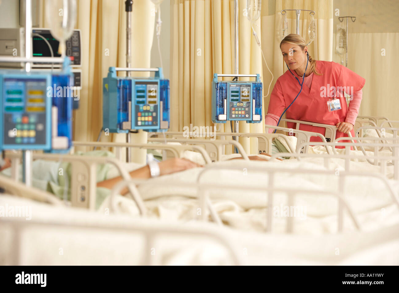 Human lineup at the back hi-res stock photography and images - Alamy