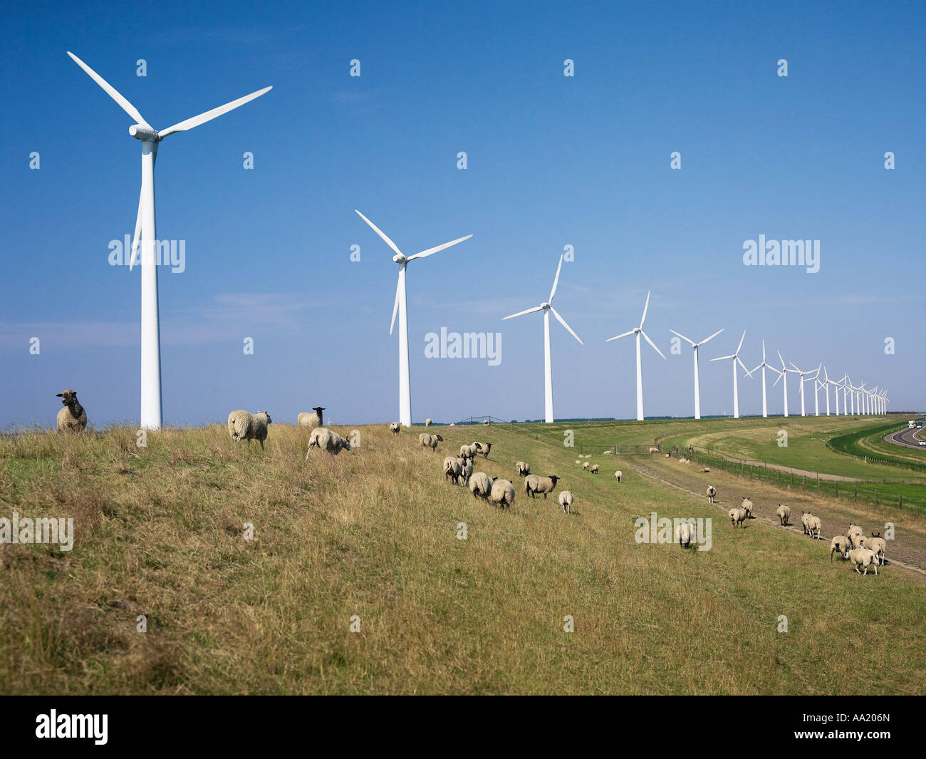 Wind Farm, Flevoland, Netherlands Stock Photo - Alamy