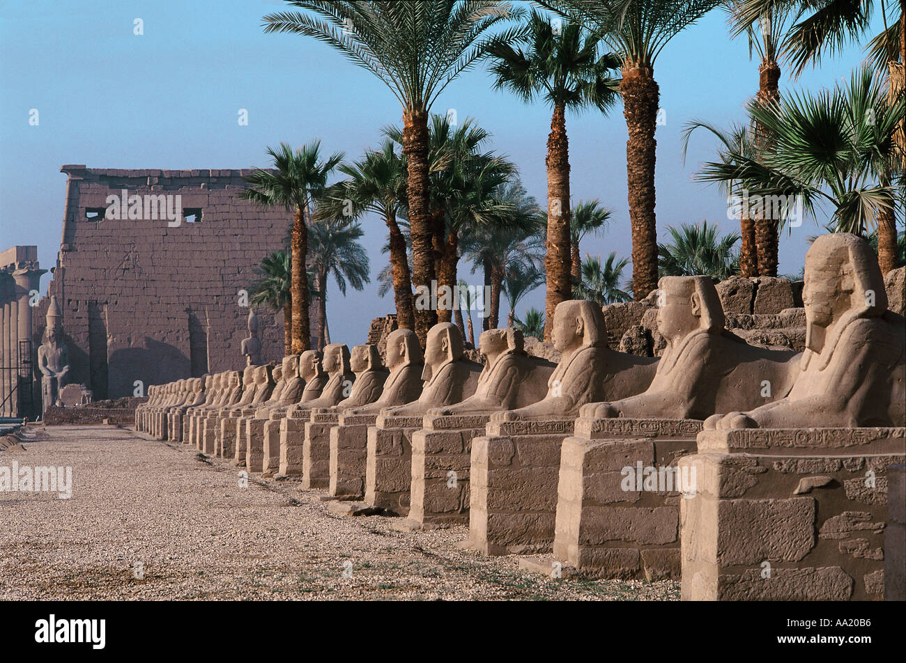 Egypt Louxor Louxor s Temple Stock Photo - Alamy
