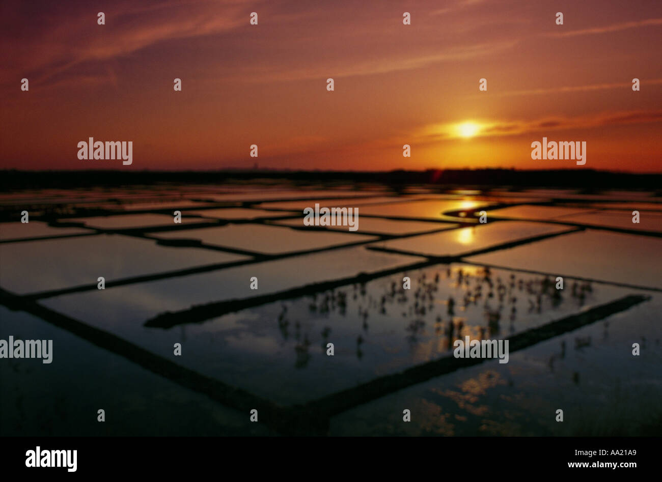 Saille High Resolution Stock Photography and Images - Alamy