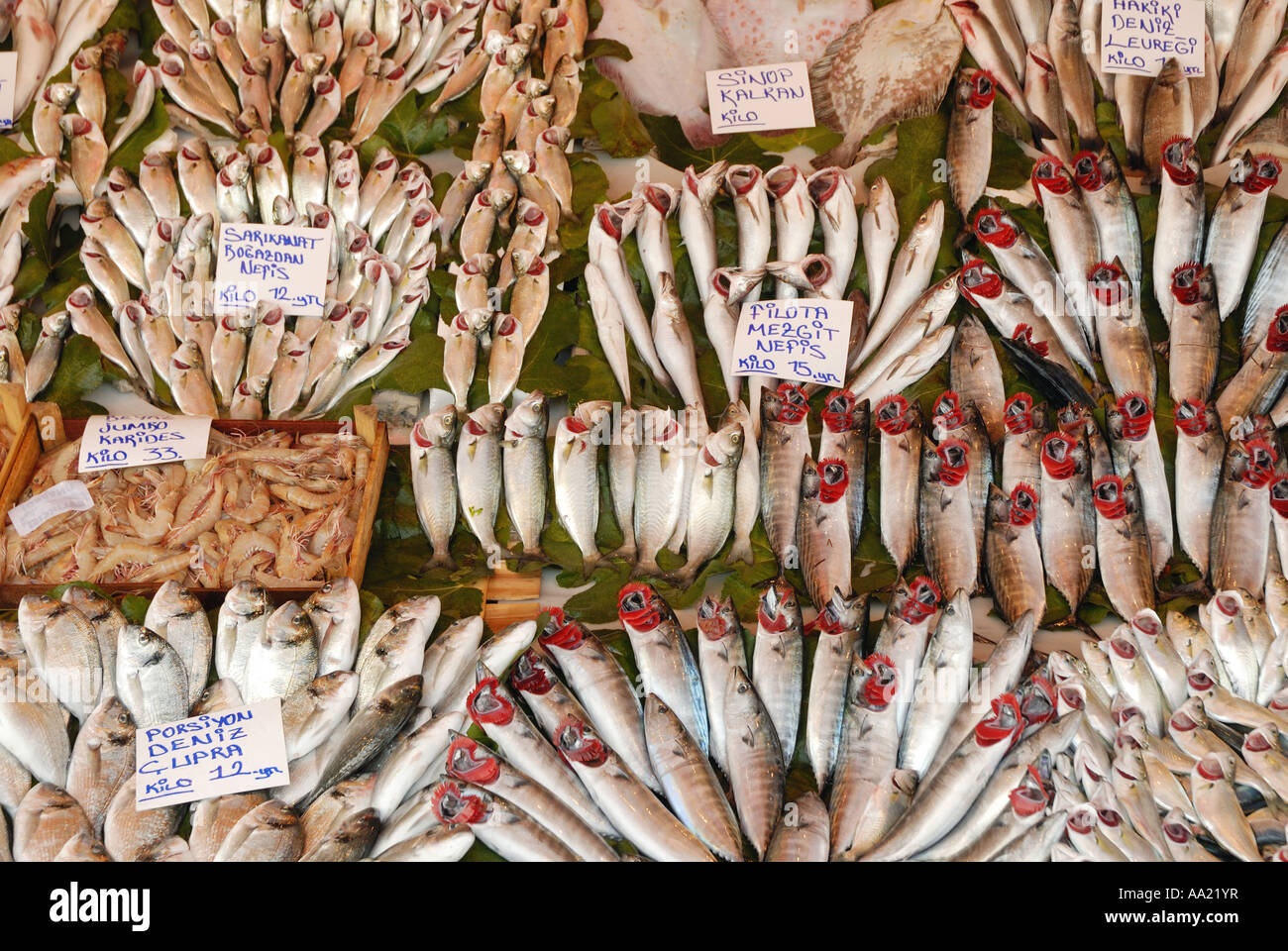 kumkapi fish market istanbul turkey display Stock Photo - Alamy