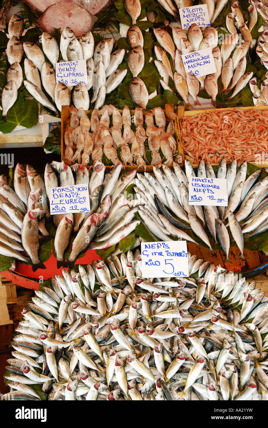 kumkapi fish market istanbul turkey display Stock Photo - Alamy