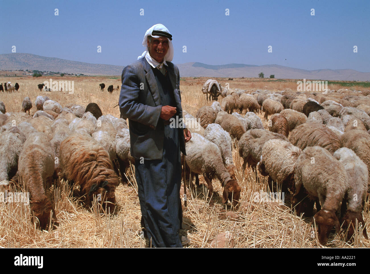 Israel and shepherd hi-res stock photography and images - Alamy