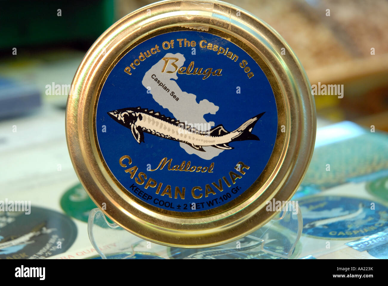 Beluga caviar huso huso hi-res stock photography and images - Alamy