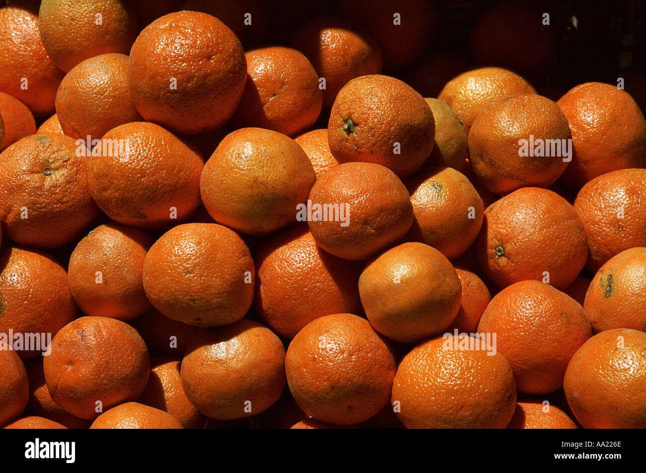 Israel Oranges Stock Photo - Alamy