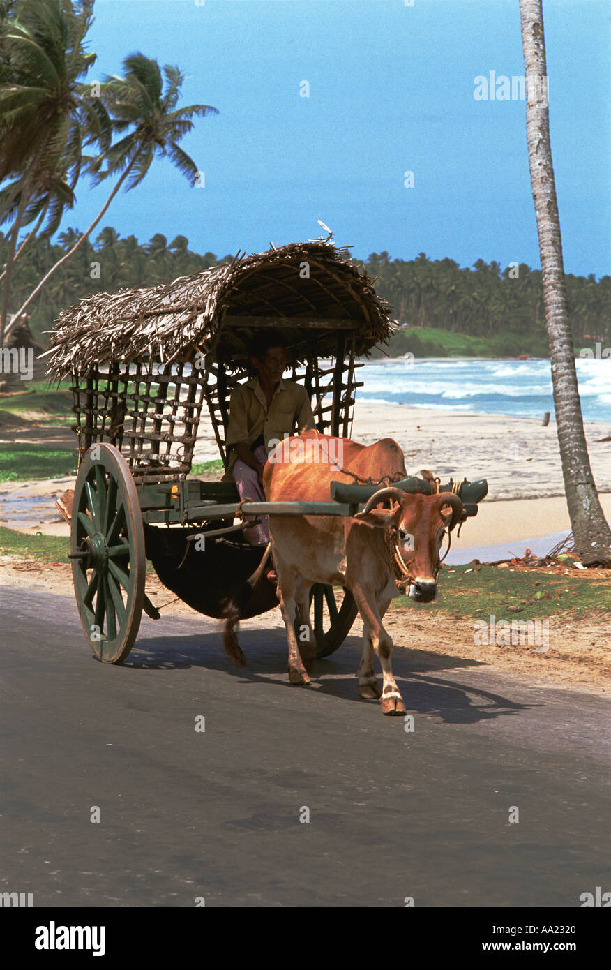 Sri Lanka Polonnaruwa Monk Stock Photo - Alamy