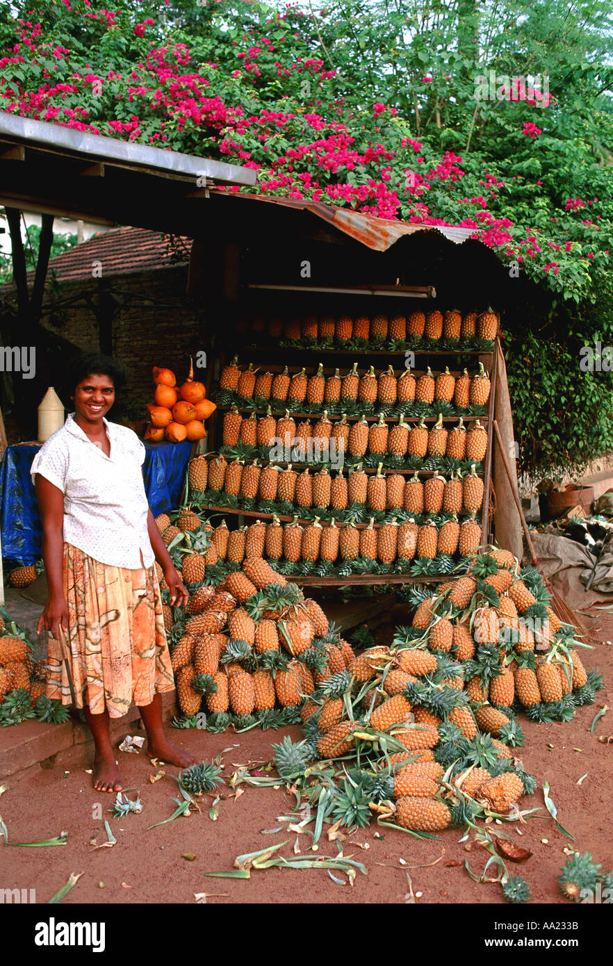 Ananasverticales hi-res stock photography and images - Alamy