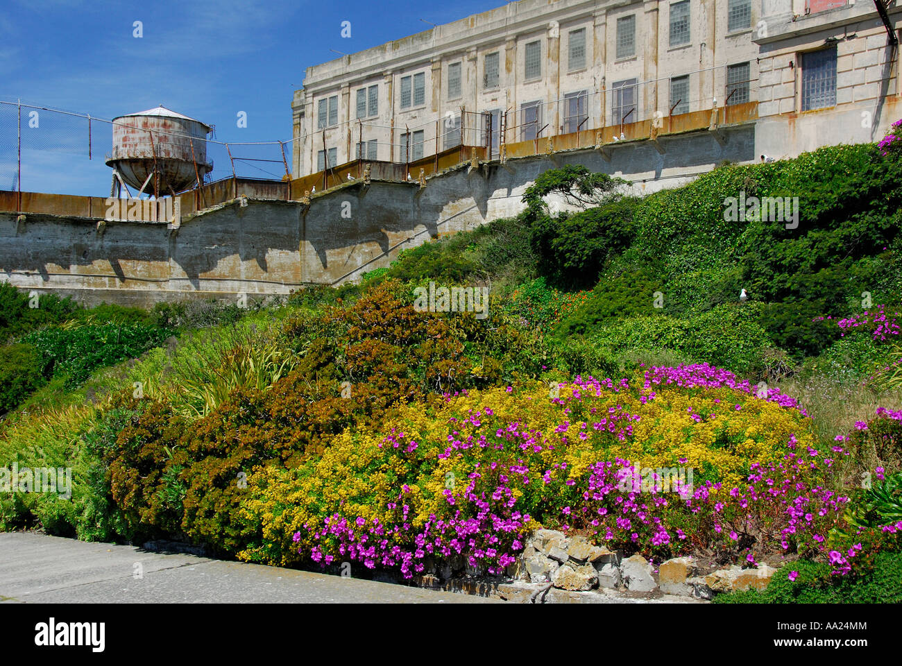 The Gardens in the foreground of Alcatraz Prison San Fransisco Stock ...