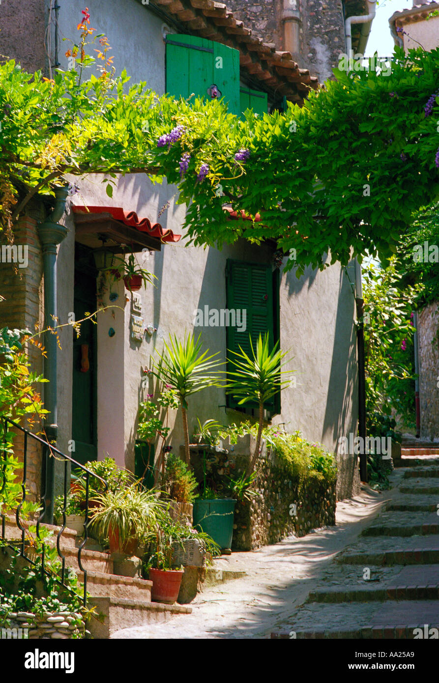 A vine provides cooling shade in this alleyway in a Provencal village ...