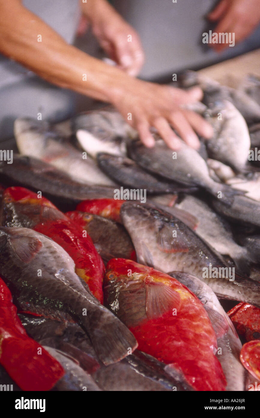 The fish market at the Mercado dos Lavradores Funchal, Madeira Stock ...