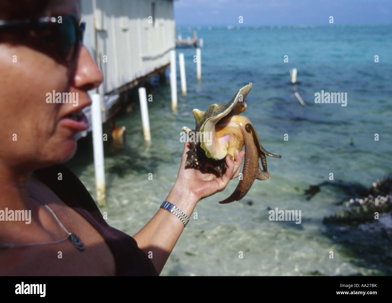 conch farmer on Providenciales Turks and Caicos Islands West indies ...