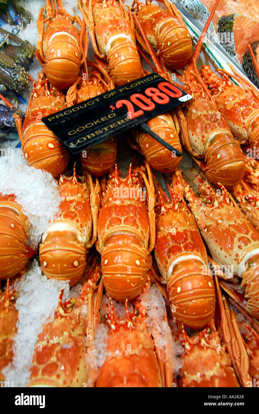Australian lobsters hi-res stock photography and images - Alamy