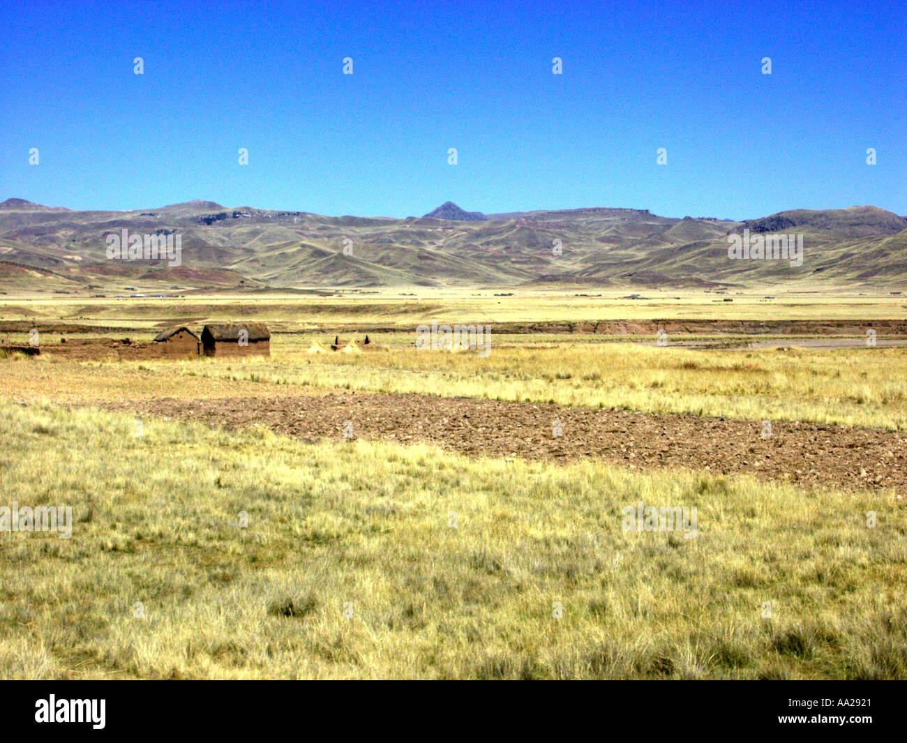 Train peru puno cusco hi-res stock photography and images - Alamy
