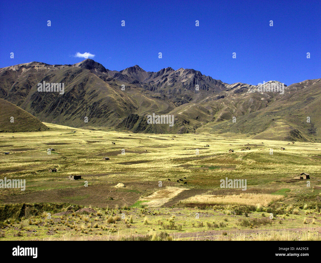 Peruvian landscape taken from the train from Puno to Cusco in the ...