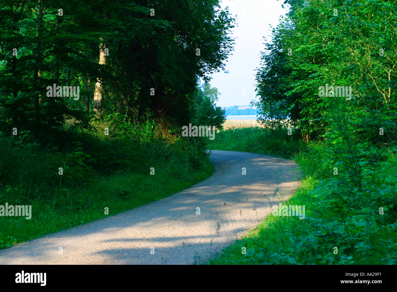 Winding country road in Denmark Stock Photo - Alamy