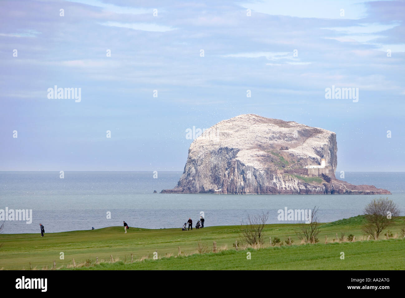 BASS ROCK North Berwick and golf course in forefront Stock Photo - Alamy