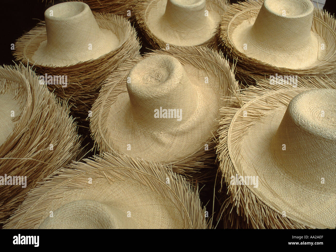 ECUADOR Canar Province. Panama Hats Stock Photo - Alamy