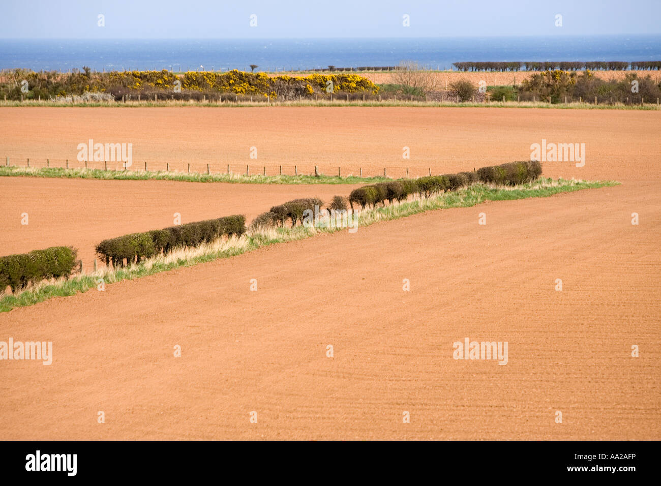 Scottish coast line brown ground Stock Photo - Alamy