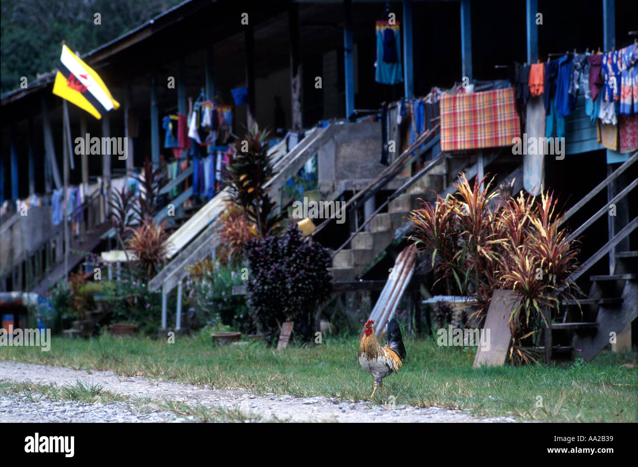 Dayak longhouse hi-res stock photography and images - Alamy