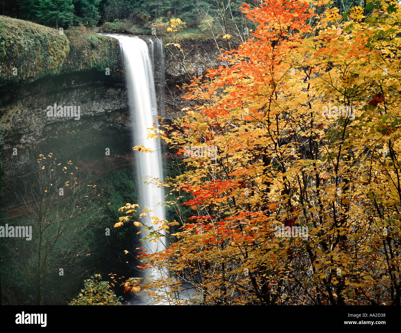 Silver falls state park red hi-res stock photography and images - Alamy