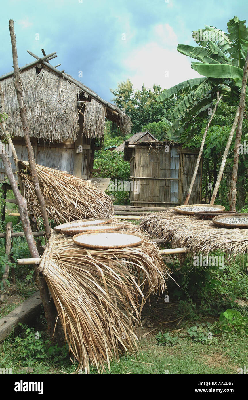 Thatch detail, Hmong Village. Dried palm building Stock Photo - Alamy