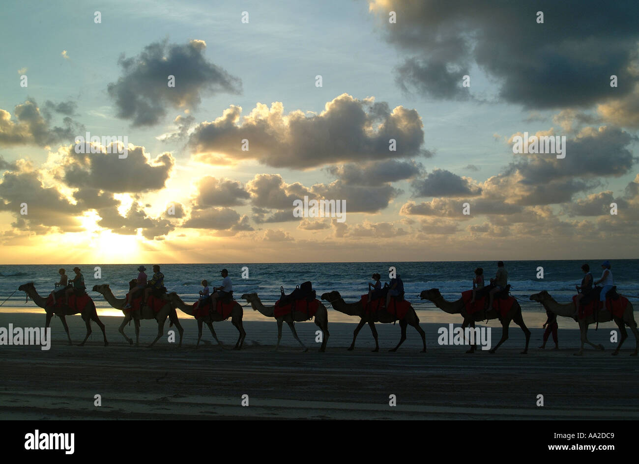 Australia train beach hi-res stock photography and images - Alamy