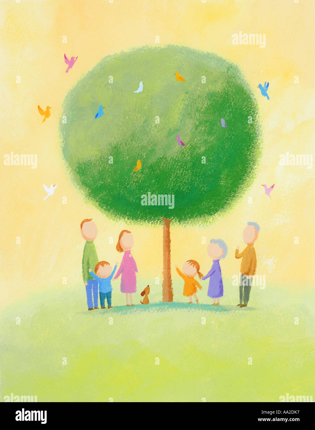 Elder tree mother hi-res stock photography and images - Alamy