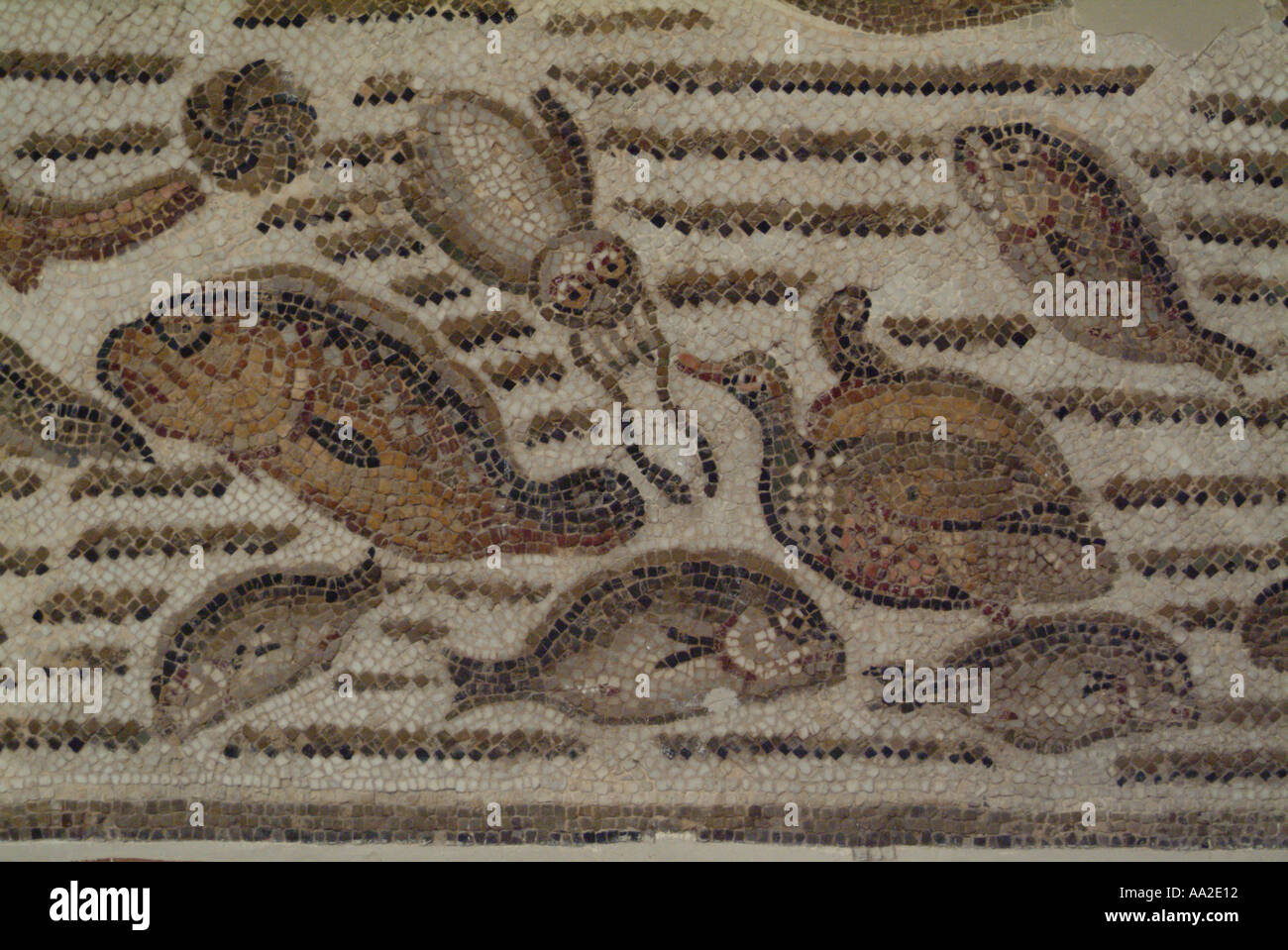 Roman mosaic fish hi-res stock photography and images - Alamy