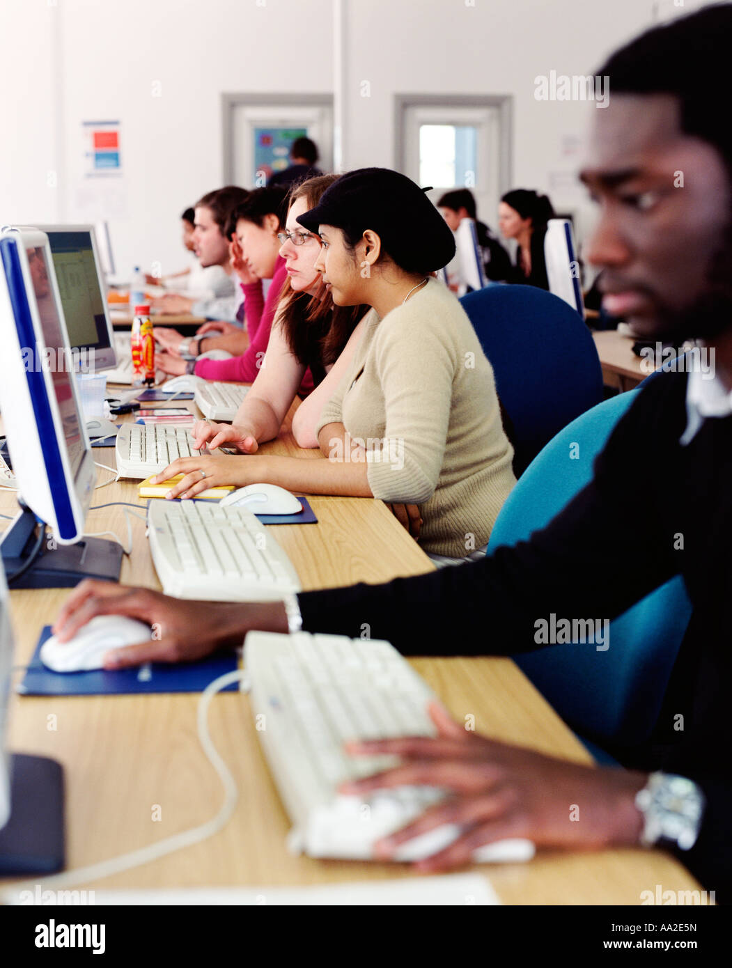 male student working on computer 3, young academic man, portrait ...