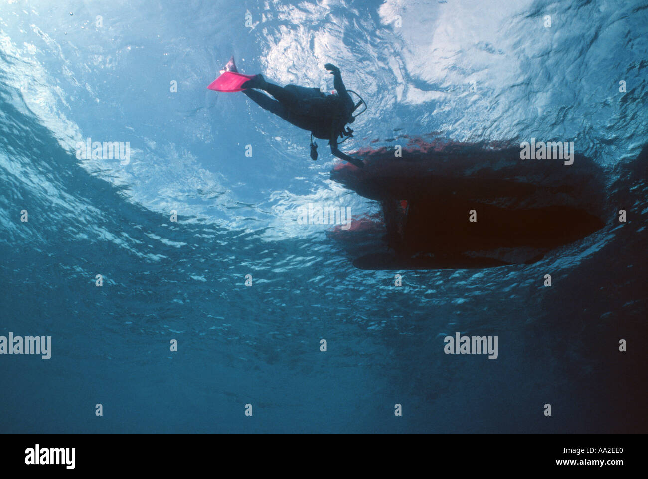 Diver with pink swim fins approaching orange inflatable boat Stock ...