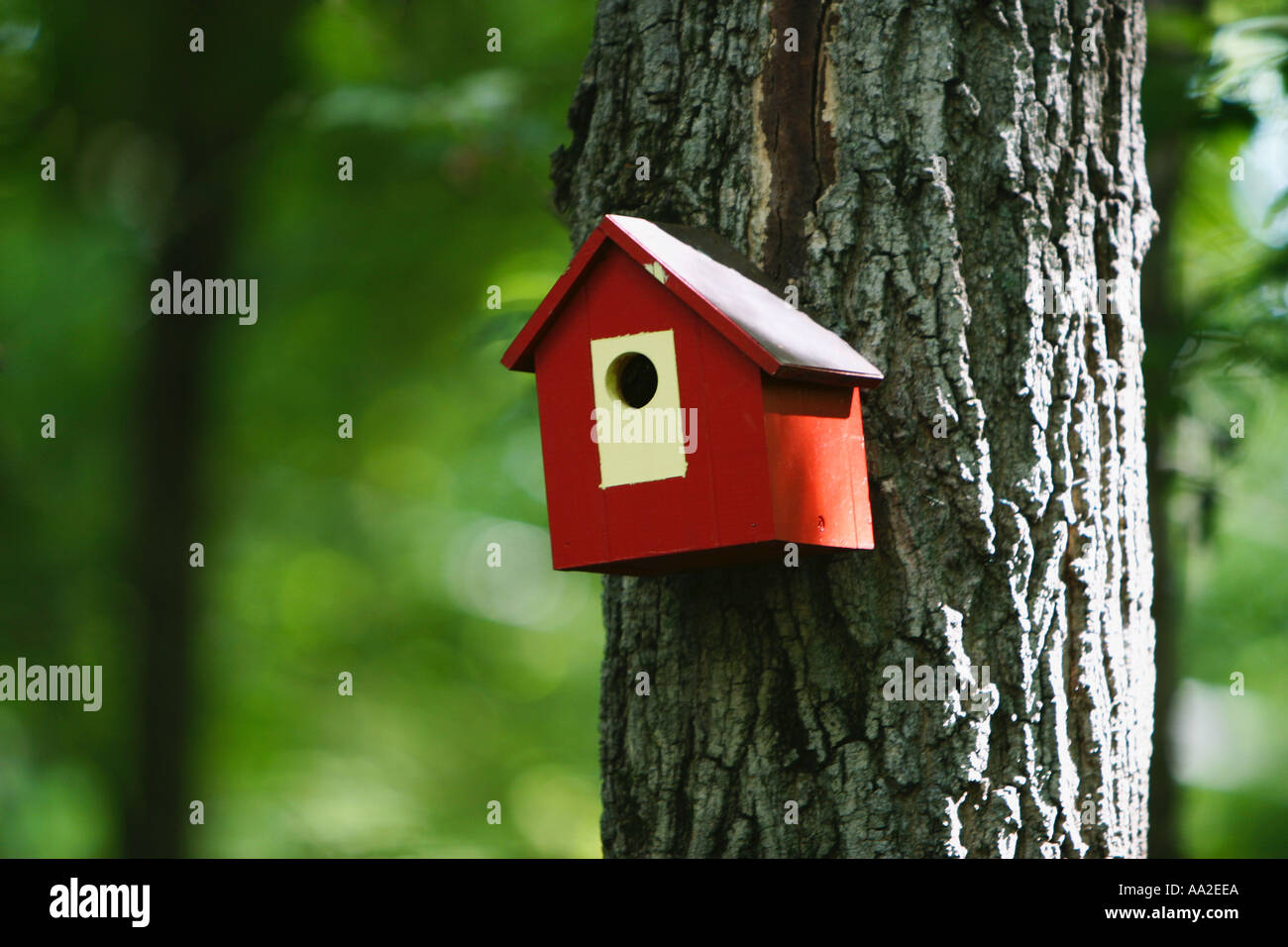 Charming birdhouse hi-res stock photography and images - Alamy