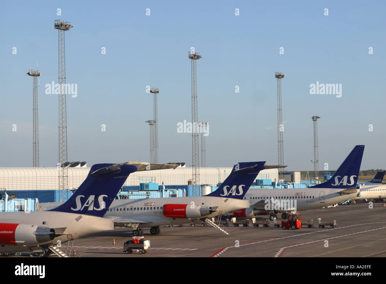 Sas airlines logo hi-res stock photography and images - Alamy