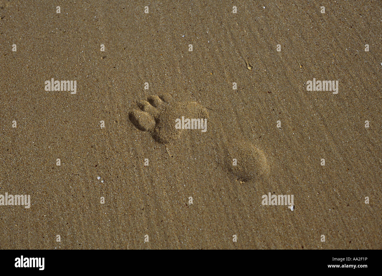Footprint in the sand at Sable-d'Or-les-Pins, Brittany, France Stock ...