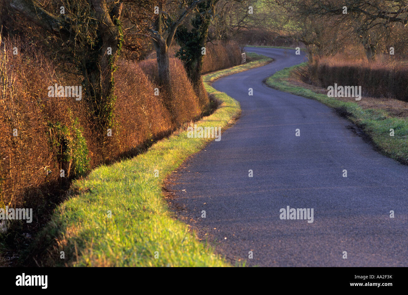 The road from Poulton to Down Ampney in Gloucestershire, England Stock ...