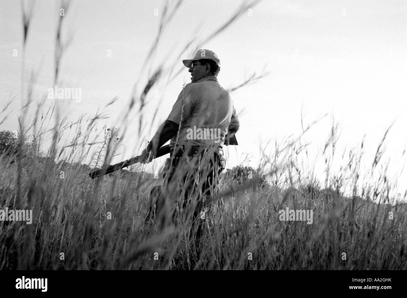 Man hunting partridge in Northern Cyprus Stock Photo - Alamy
