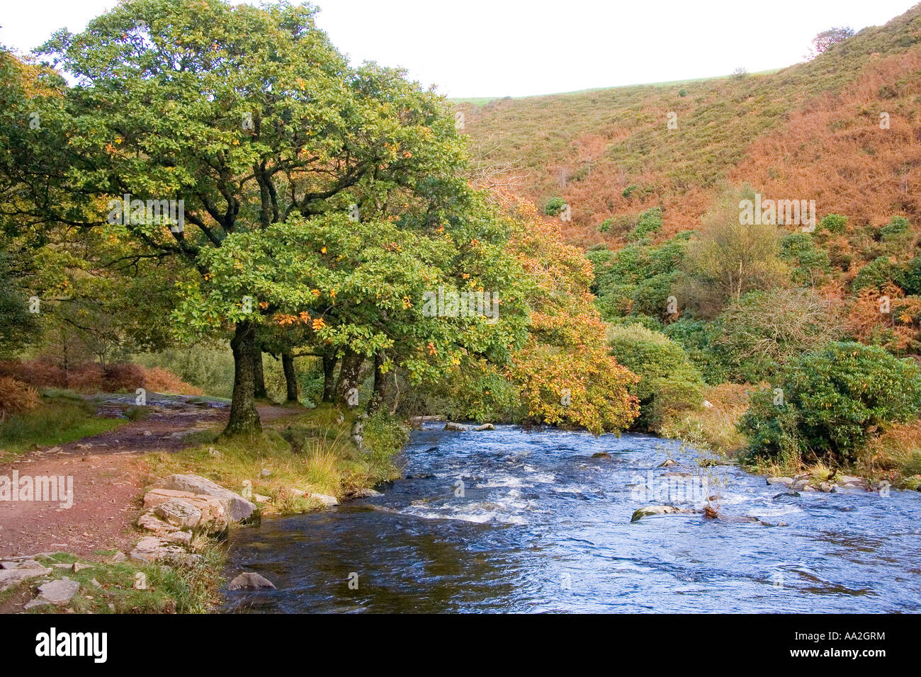 Doone Valley Exmoor High Resolution Stock Photography and Images - Alamy