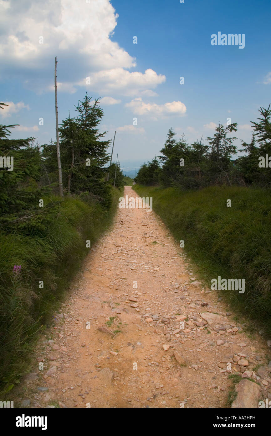 Straight And Narrow Path Clipart