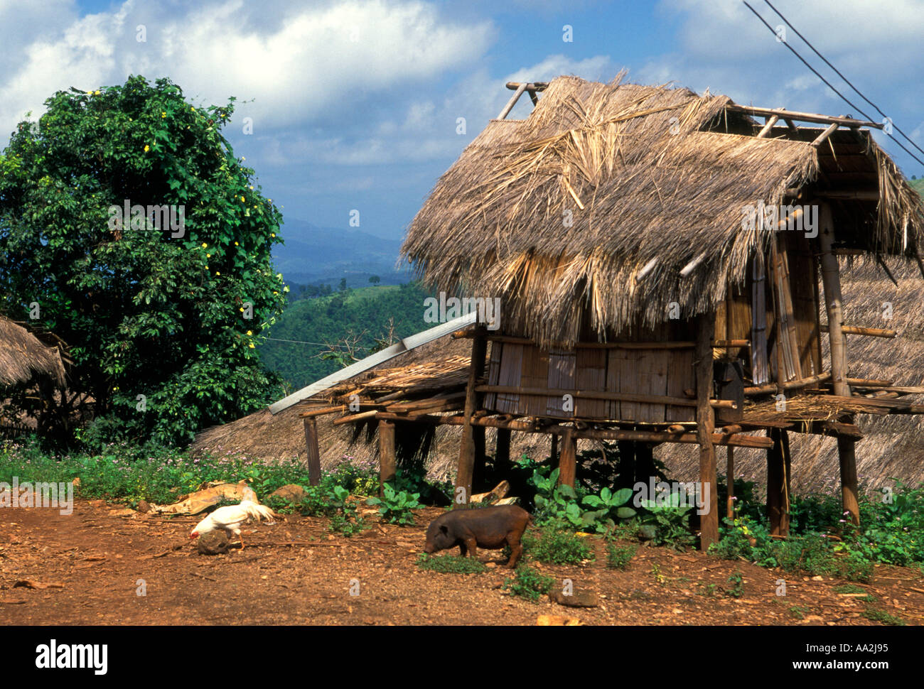 Thatched Roof Hut