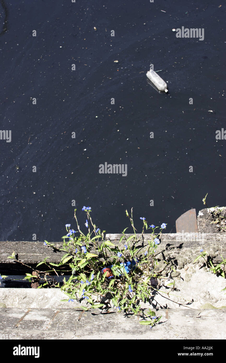 highly polluted waters Stock Photo - Alamy