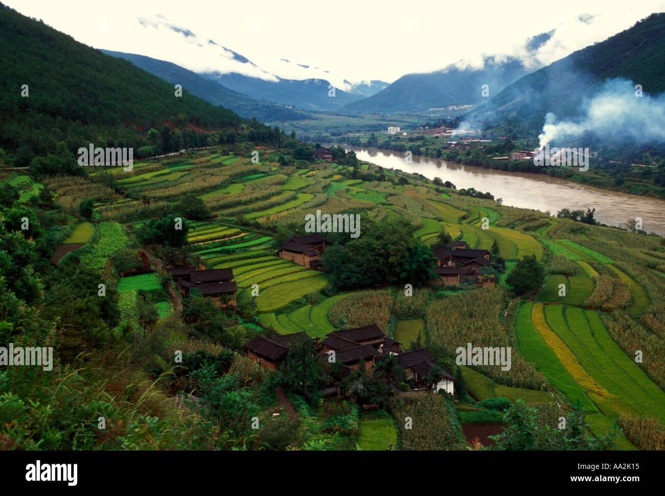 terraced rice field, terraced rice fields, rice field, rice fields ...