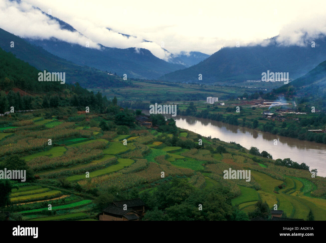 terraced rice field, terraced rice fields, rice field, rice fields ...