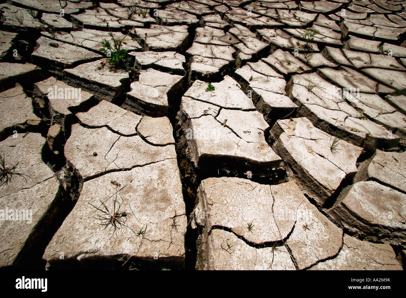 Very dry split soil with very few vegetation in a hot environment ...