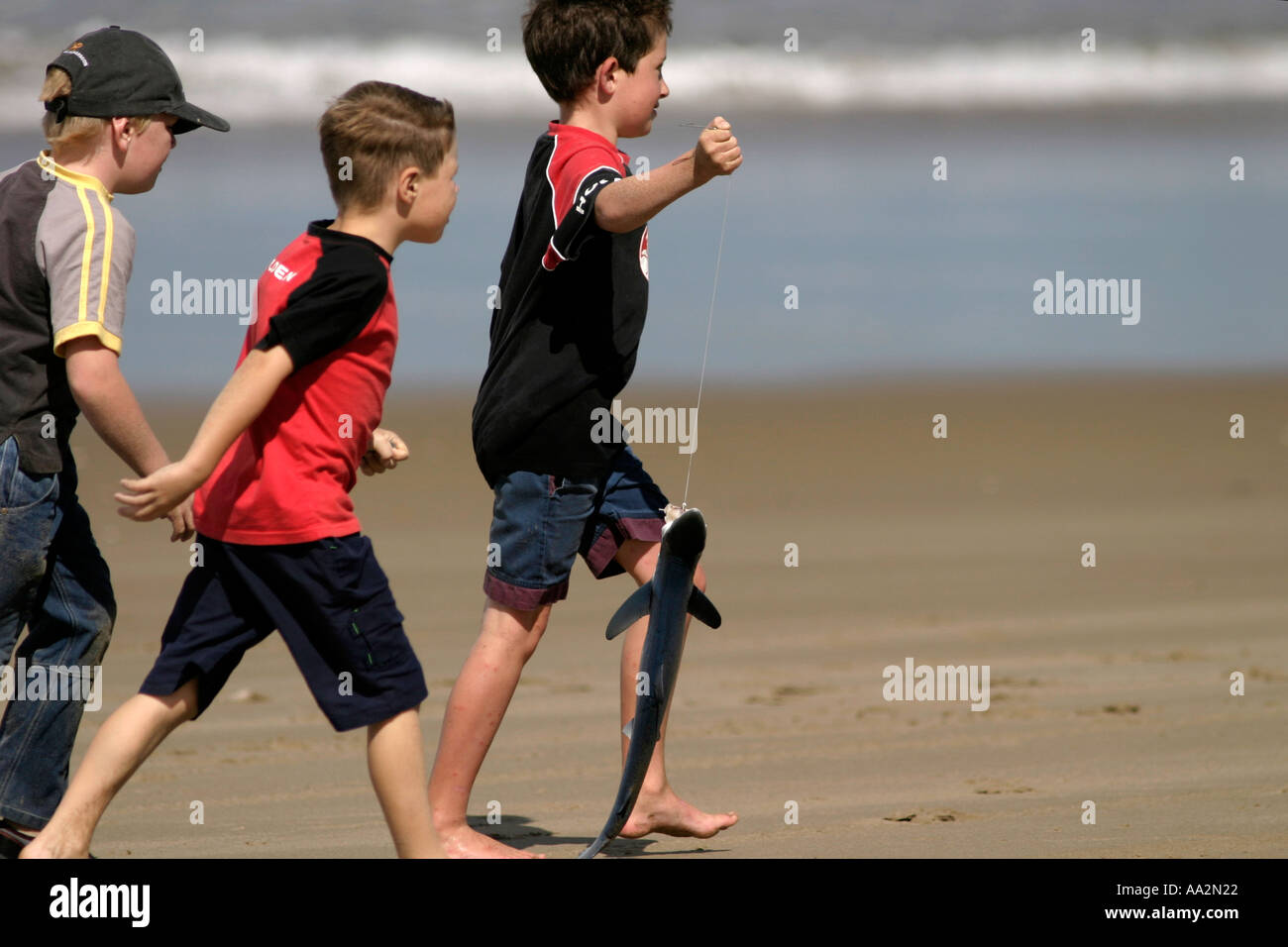 Boys caught baby shark off Beach New Zealand Stock Photo - Alamy