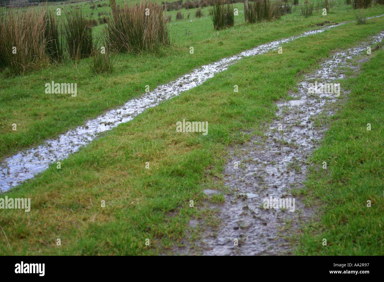 wet dirt track Stock Photo - Alamy