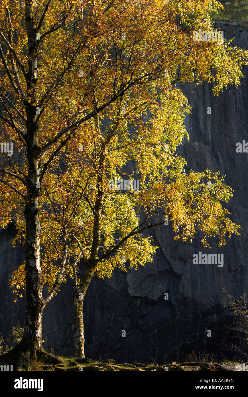 Hodge close quarry lake district hi-res stock photography and images ...