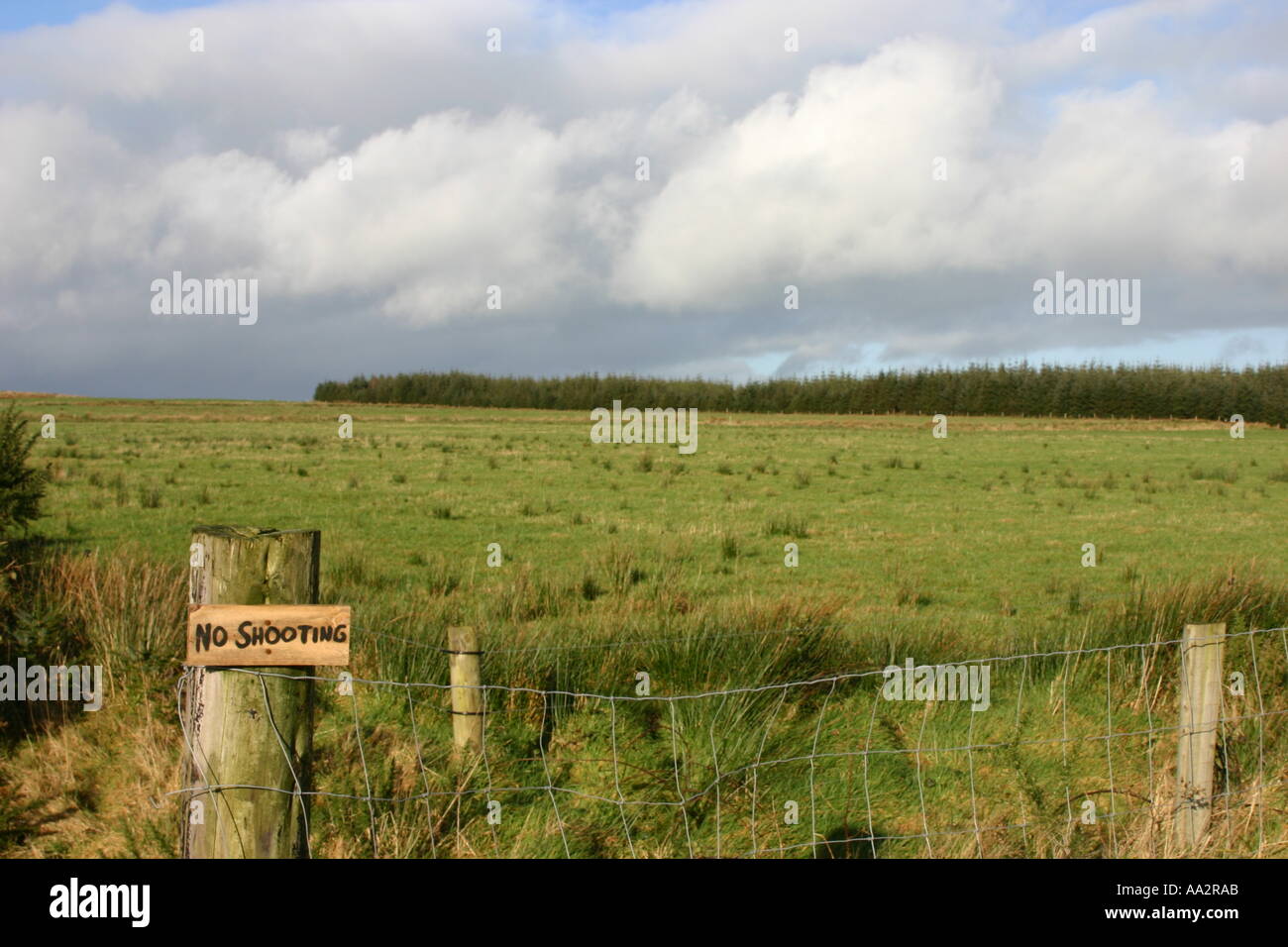 sign 'no shooting' Stock Photo - Alamy