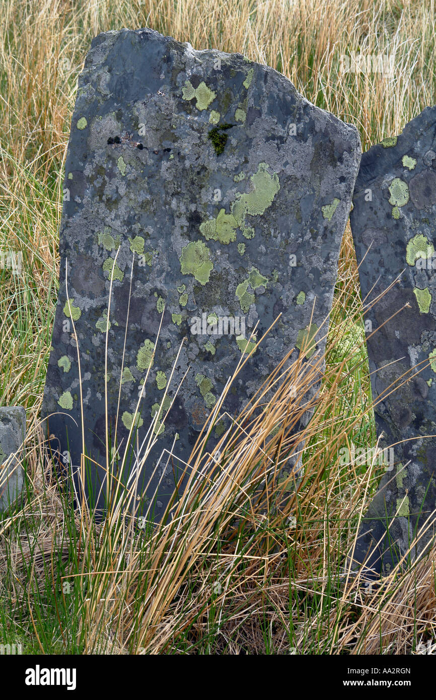 old slate fence panel - north wales Stock Photo - Alamy