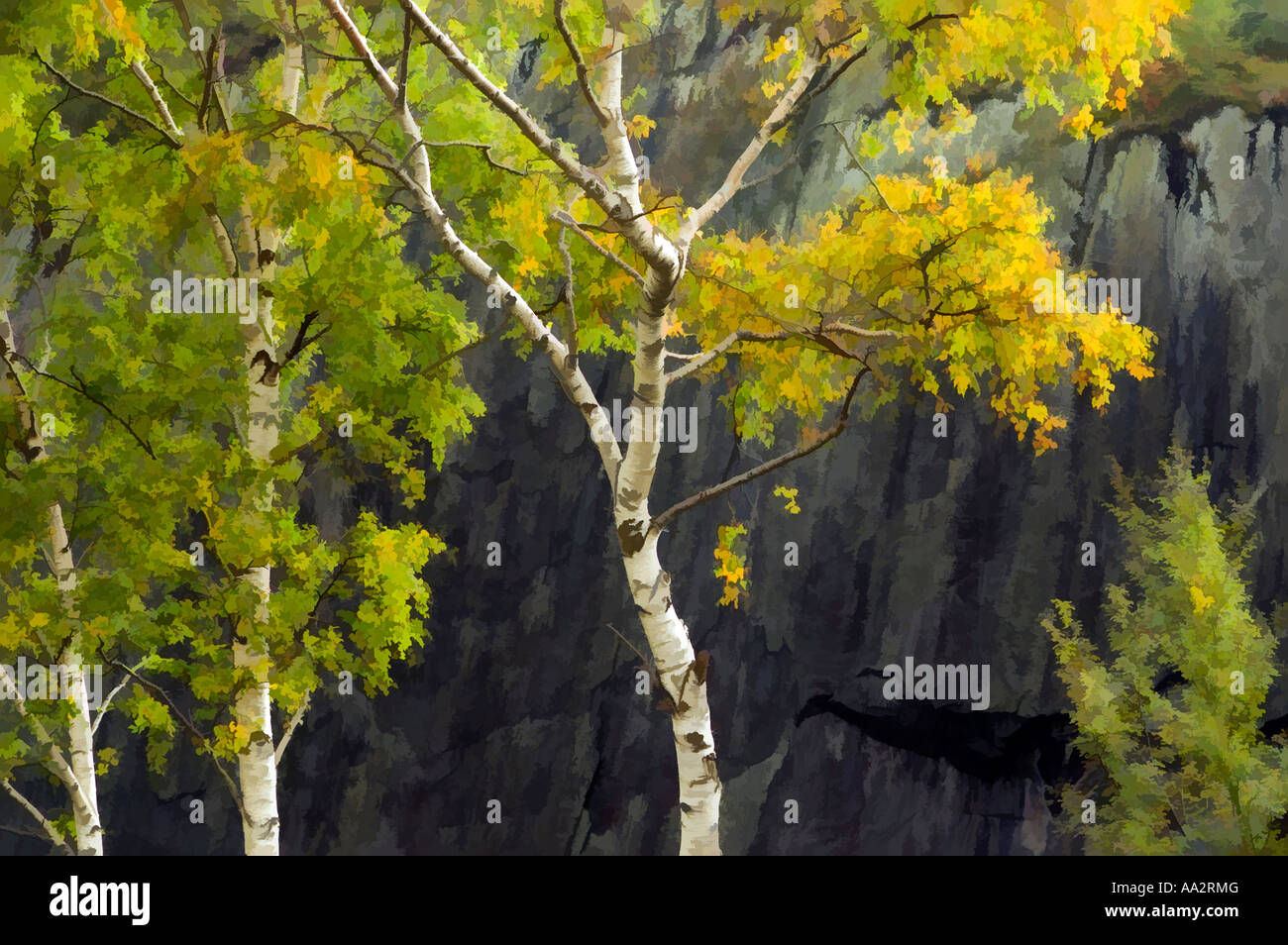 Hodge close quarry lake district hi-res stock photography and images ...