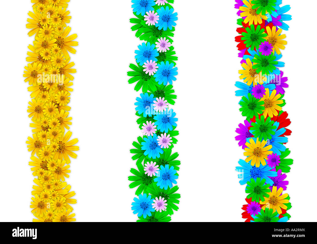 Floral design elements Stock Photo - Alamy